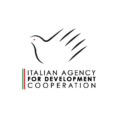 Italian Development Cooperation Logo